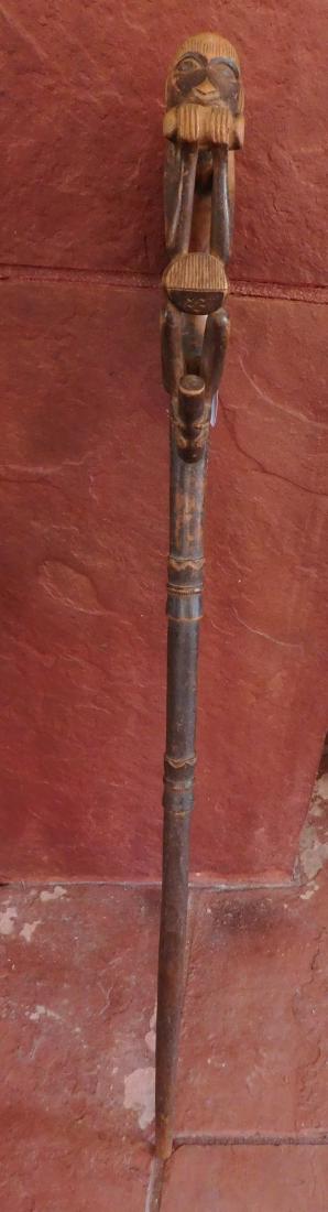 Baule Monkey Cane