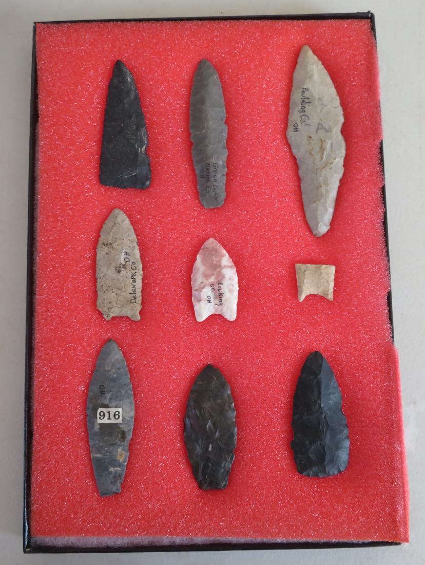 Paleo Point Collection