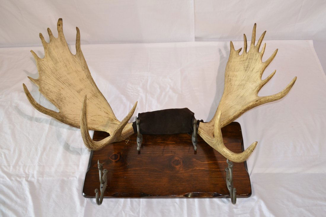 247: LARGE MOOSE ANTLER RACK WITH FIGURAL IRON - May 26, 2012 | Echoes ...