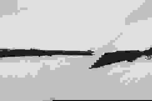 Cva Apollo Black Powder Rifle Auction