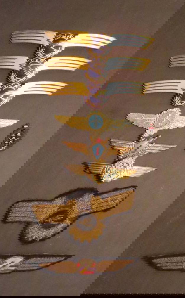 (9) Pilots Wings & Insignia Auction