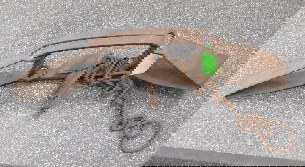 Antique Bear Trap Auction