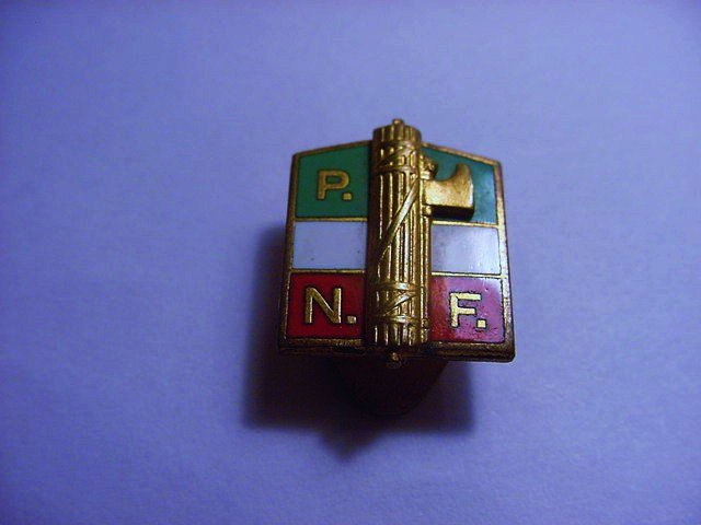 WWII ITALIAN FASCIST PIN