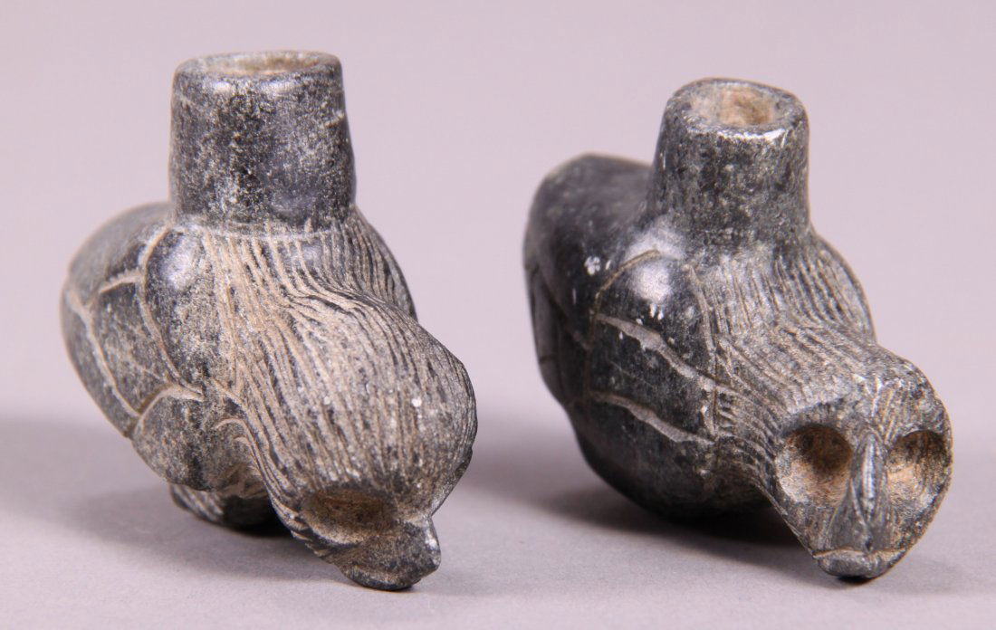 Native American Indian Artifact, Pair of Bird Stone Eff