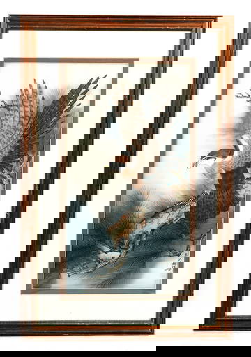 Peinture Chinoise Représentant Un Aigle / Chinese Eagle Painting