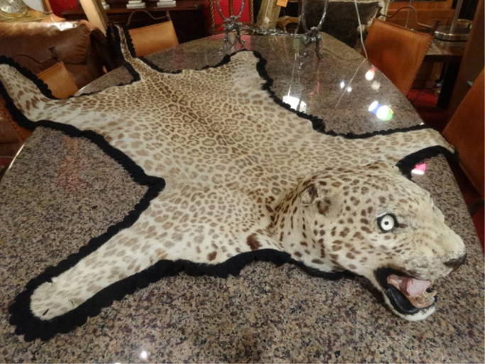 Vintage Leopard Skin Rug, Mounted Head, Black Felt And