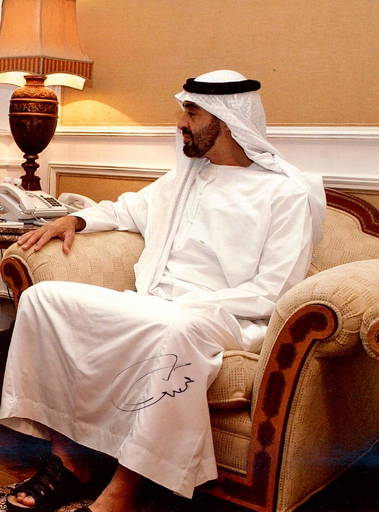 Al Nahyan Mohammed Bin Zayed: (1961 )