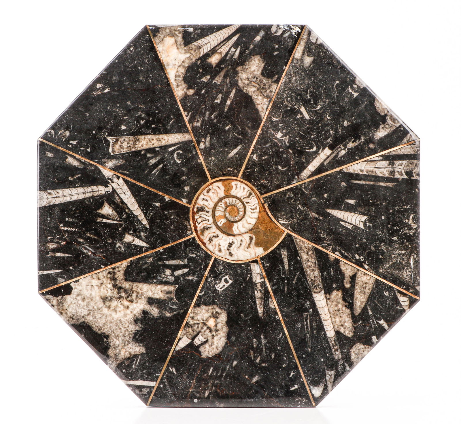 Amonite Fossil Stand - Dec 14, 2022 | Material Culture in PA