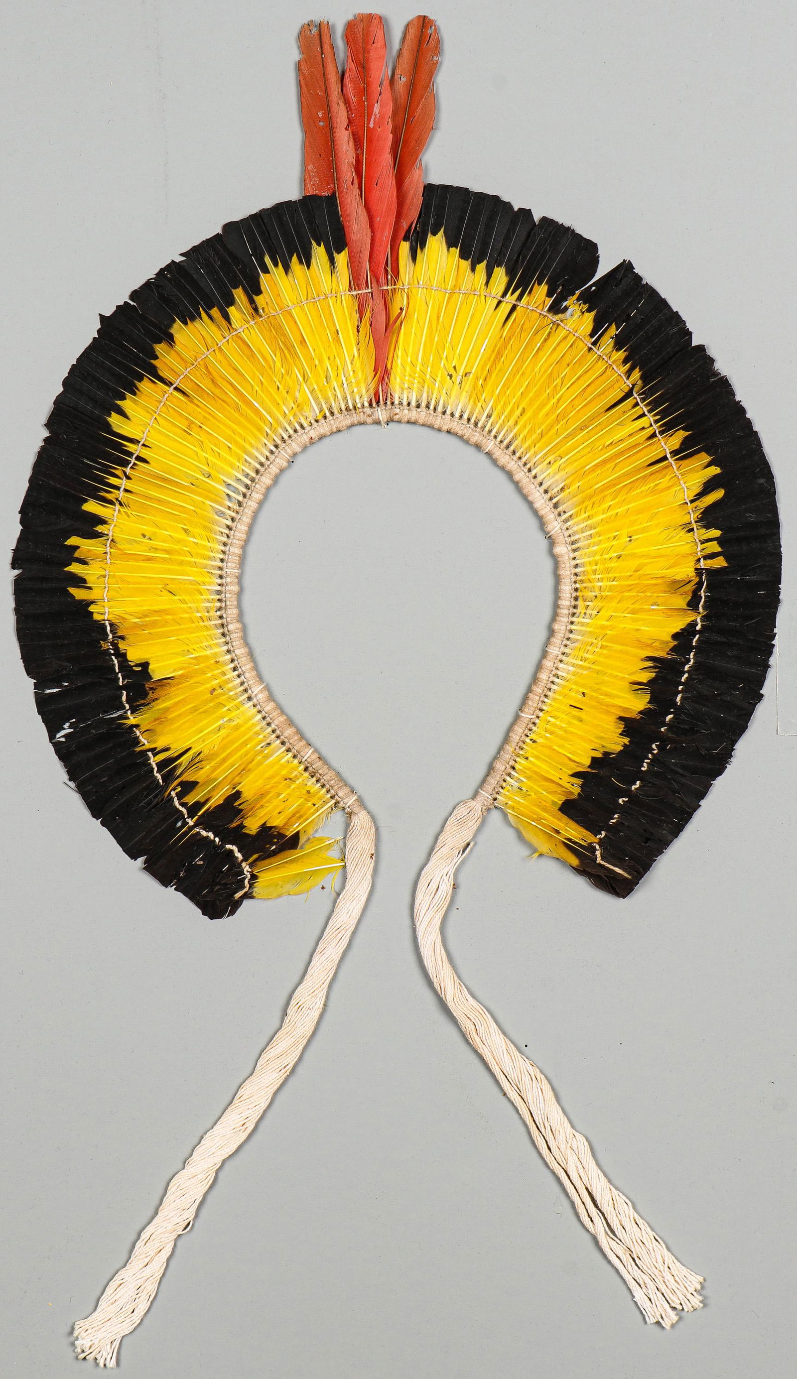 Amazonian Kayapo Headdress - Mar 13, 2023 | Material Culture in PA