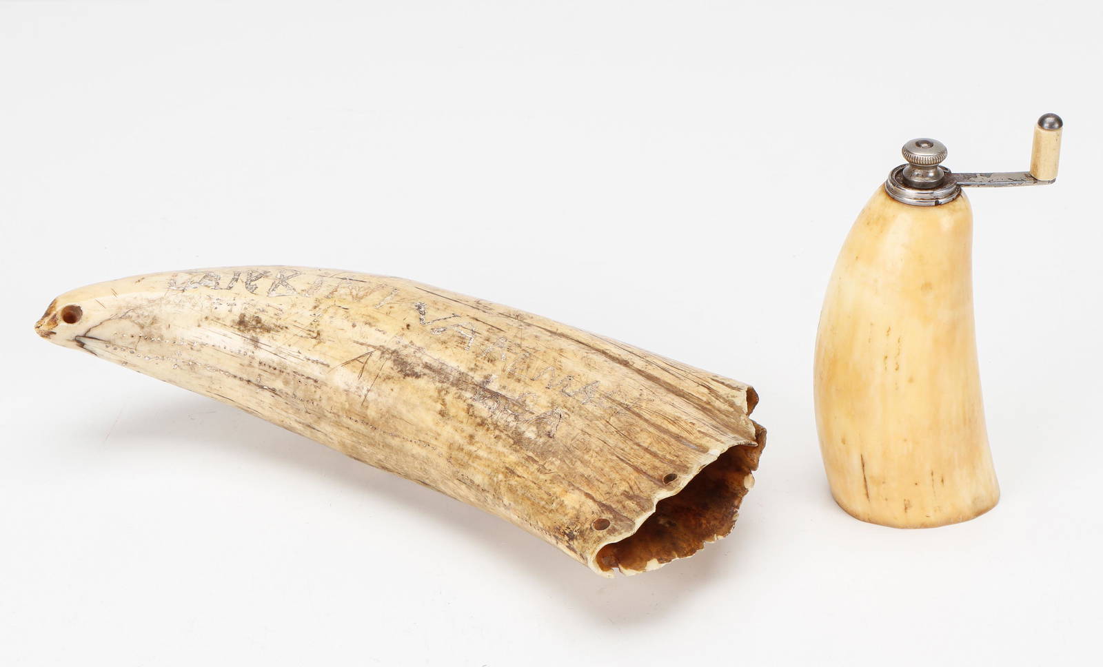 Fijian Sperm Whale Tooth Tabua Chief Pendant (#0250) on Mar 13, 2023 ...