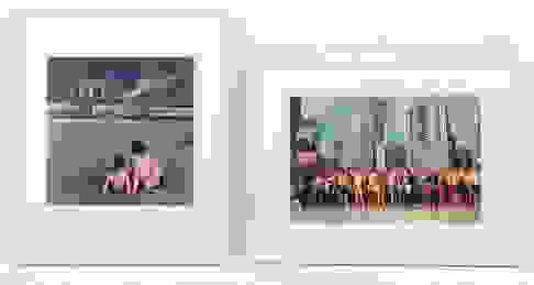 2 Photographs: Laura Mcphee (b. 1958) And Jack Carnell (20th C.) Auction