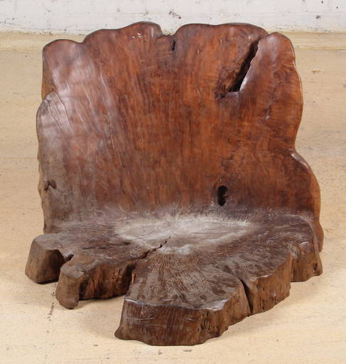 Indonesian Lychee Tree Trunk Natural Root Sculpture