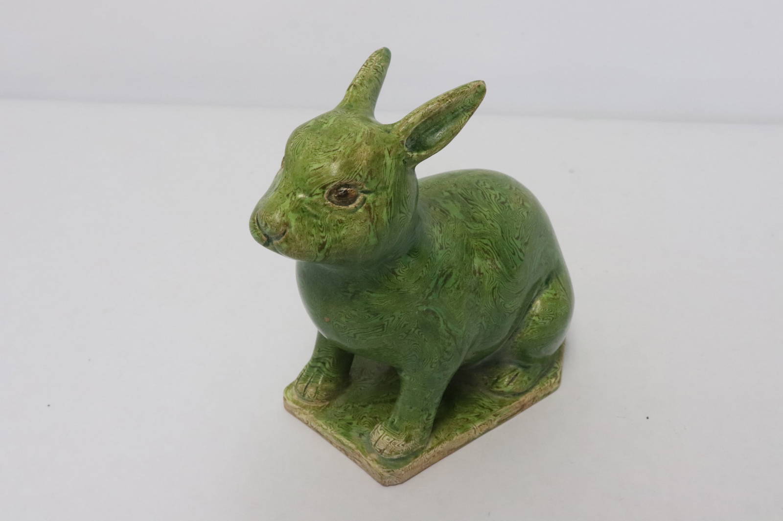 Interesting Marbled Rabbit Auction