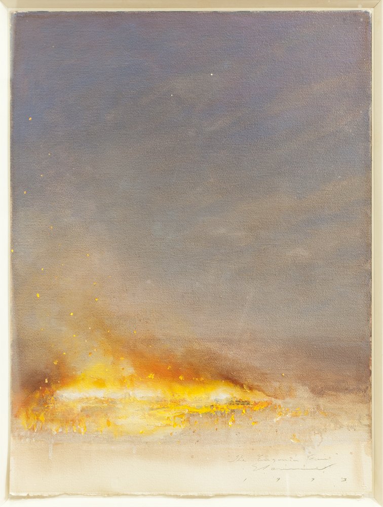 Timothy Austin (tim) Storrier (born 1949) Engonia Fire