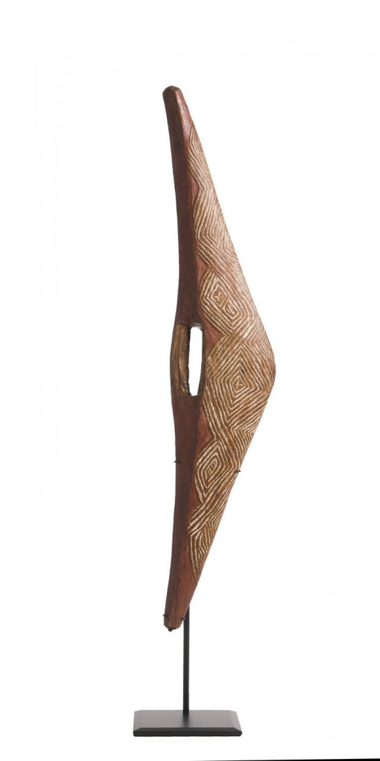 An Exceptional and Dynamically Carved Narrow Shield