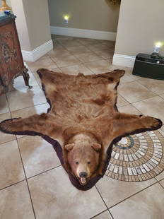 Xxl Grizzly Bear Rug