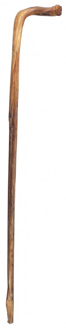 3: ANTIQUE BULL'S PIZZLE WALKING CANE
