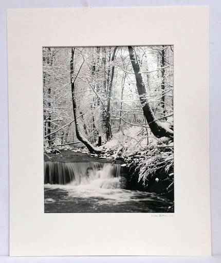 Signed Linda Butler Forest River Snow Ed15 Photograph