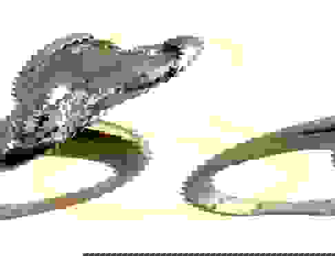 1.23ct Mickey Mouse Cut Diamond 14k Yellow And White Gold Solitaire ...