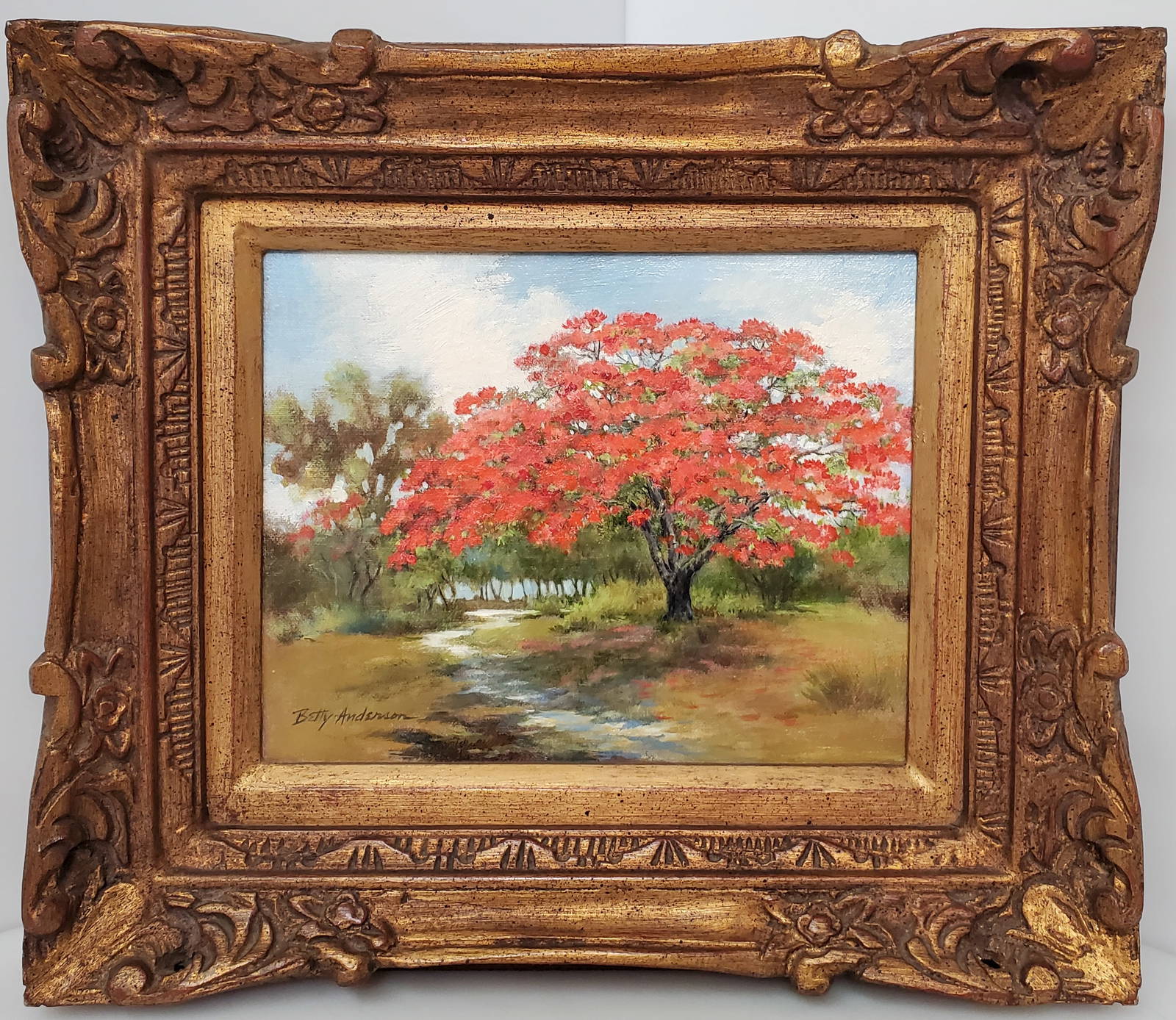 Florida Artist Betty Anderson Poinciana Tree Fl Landscape Floridiana ...