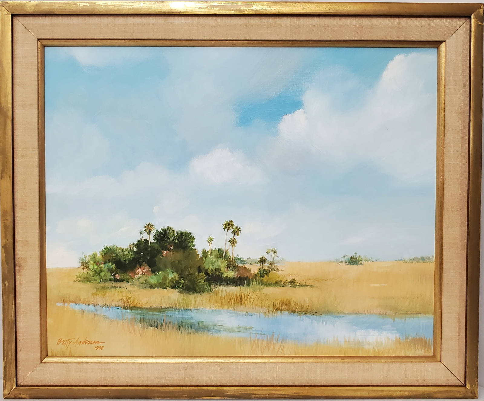 Betty Anderson Florida Artist Wetland Everglades Coastal March Fl ...