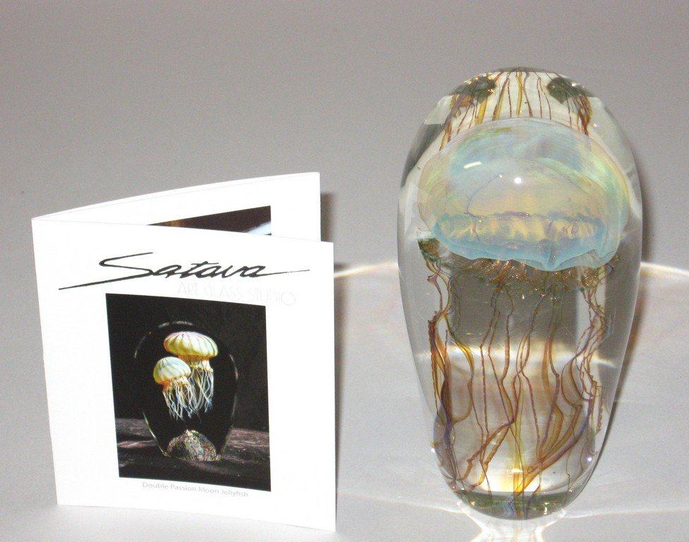 Rick Satava jellyfish paperweight