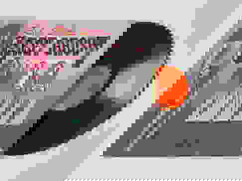 Ruby Starr And Grey Ghost Auction