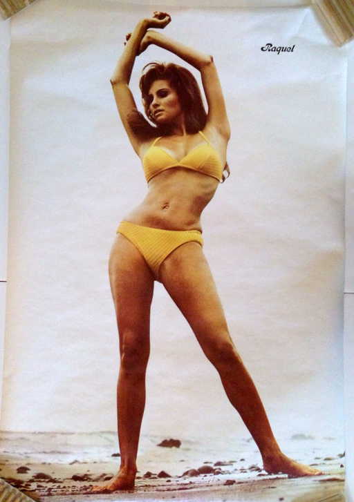 Raquel Welch Bikini Vintage Poster
