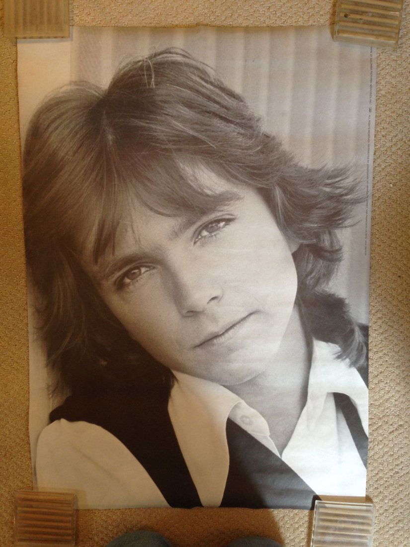 David Cassidy 1971 Bedroom Poster
