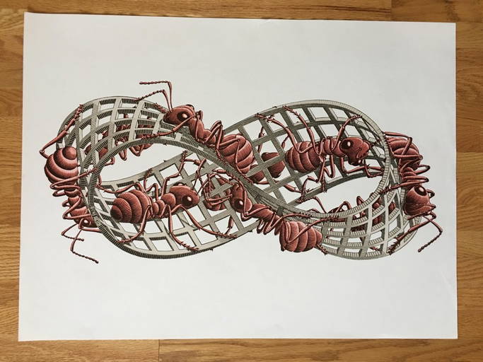 Mc Escher 1968 Ants