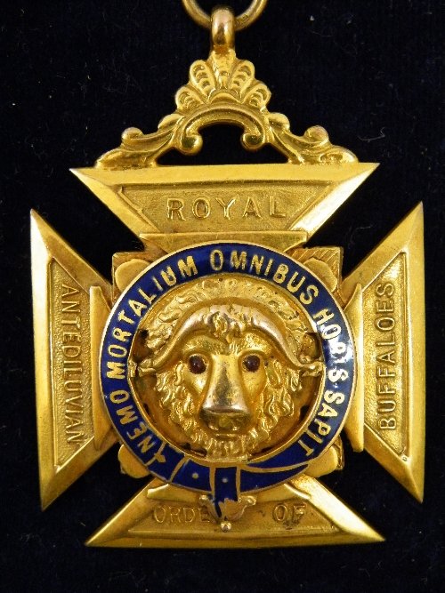 Royal Antediluvian Order Of The Buffaloes Medal