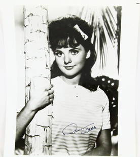 Dawn Wells Gilligan's Island Signed Photograph
