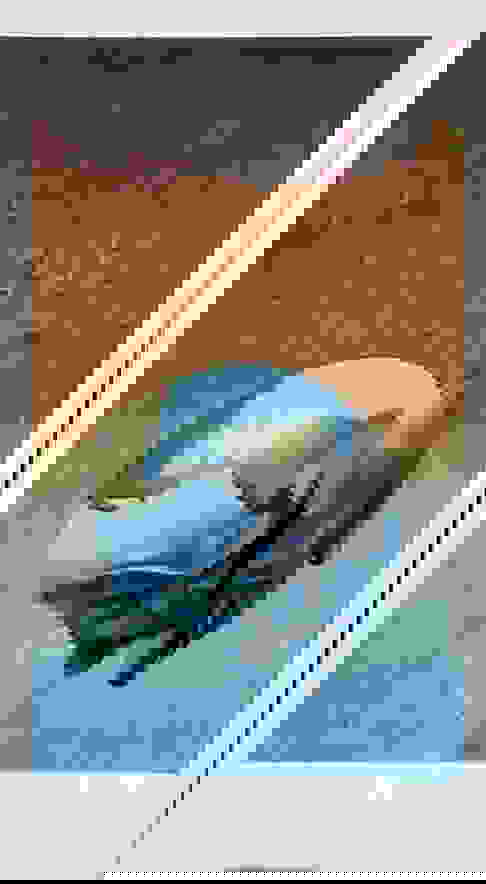 Karel Thole - Lebbra Antiplastica Auction