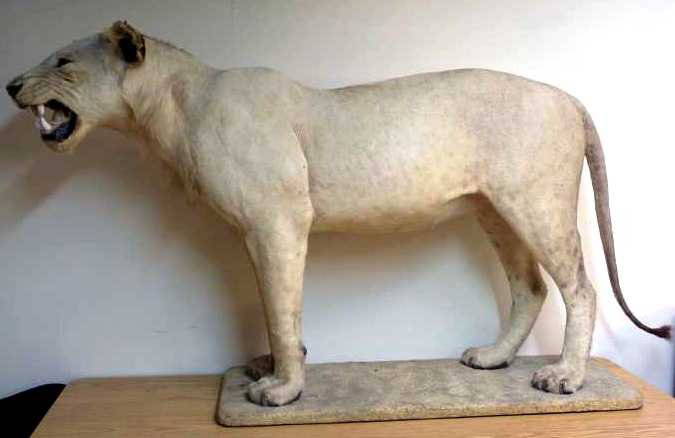 Ryedale Auctioneers - Upcoming Auctions & Past Catalogs