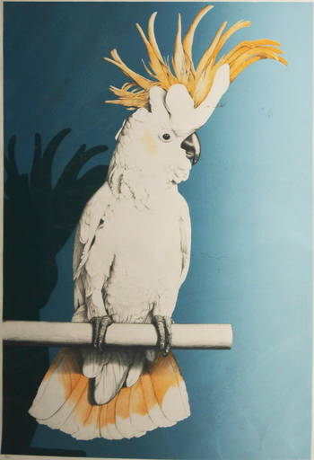Tom Palmore Cockatoo