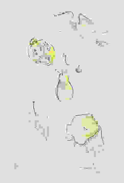 Salvador Dali - I Went Down Into The Garden Of Nuts To Auction
