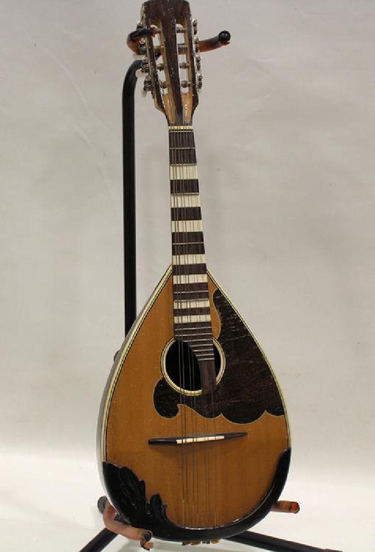 Bowl-Back Mandolin
