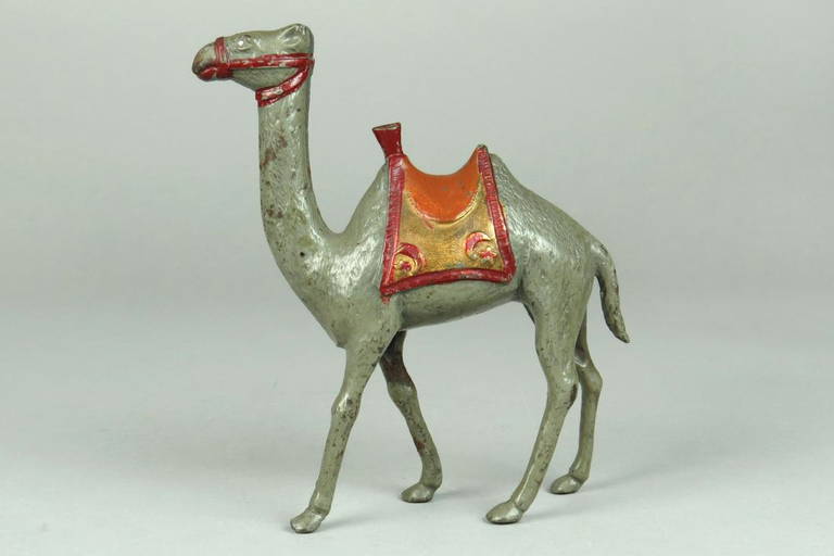 Ci Camel Bank, Large