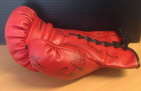 1980 Alan Minter V Vito Antuofermo Boxing Championship Program 6/28