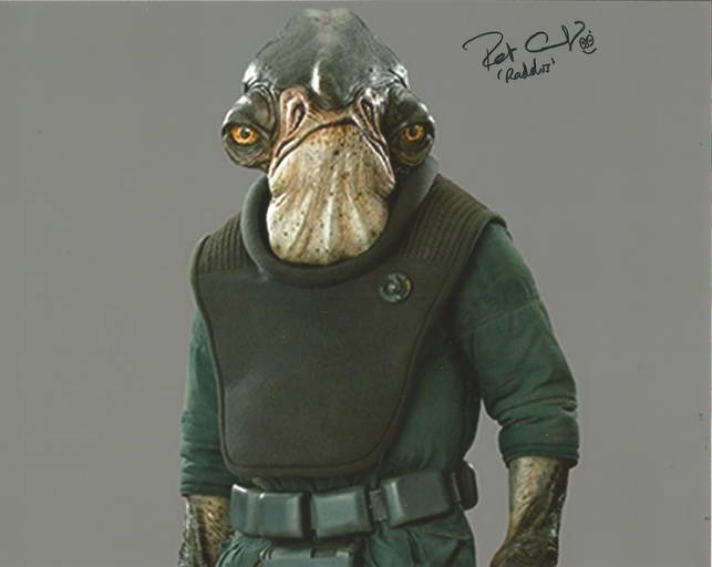 Paul Casey In His Role As Admiral Raddus In Star Wars