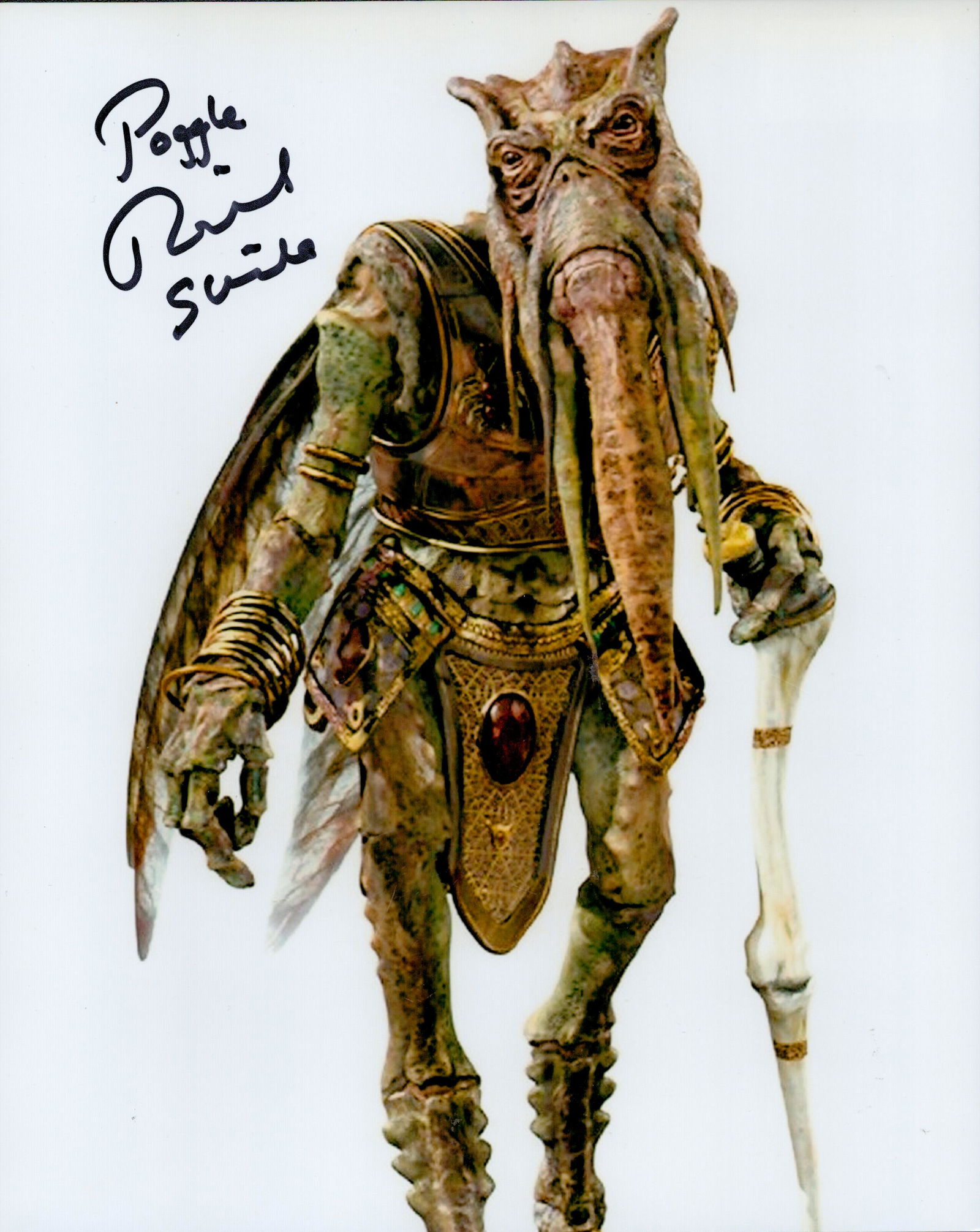 Richard Stride 10x8 signed colour photo as Poggle the Lesser in Star ...