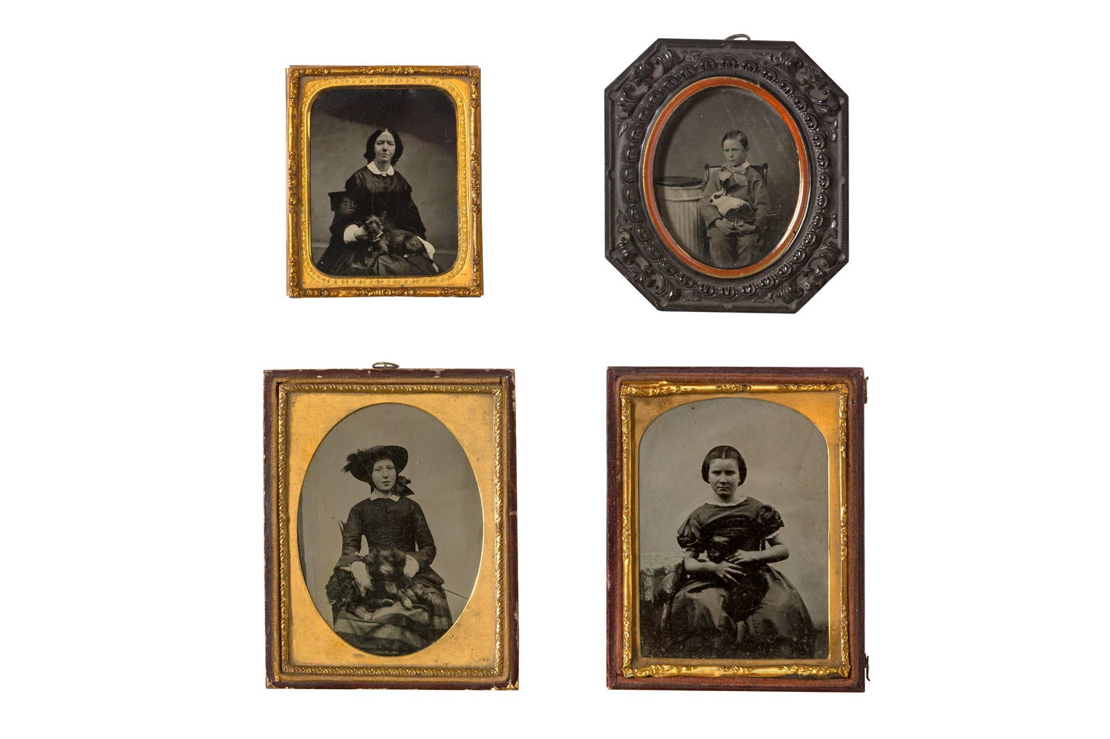 A Selection Of Ambrotype Portraits With Animals C.1860s Auction