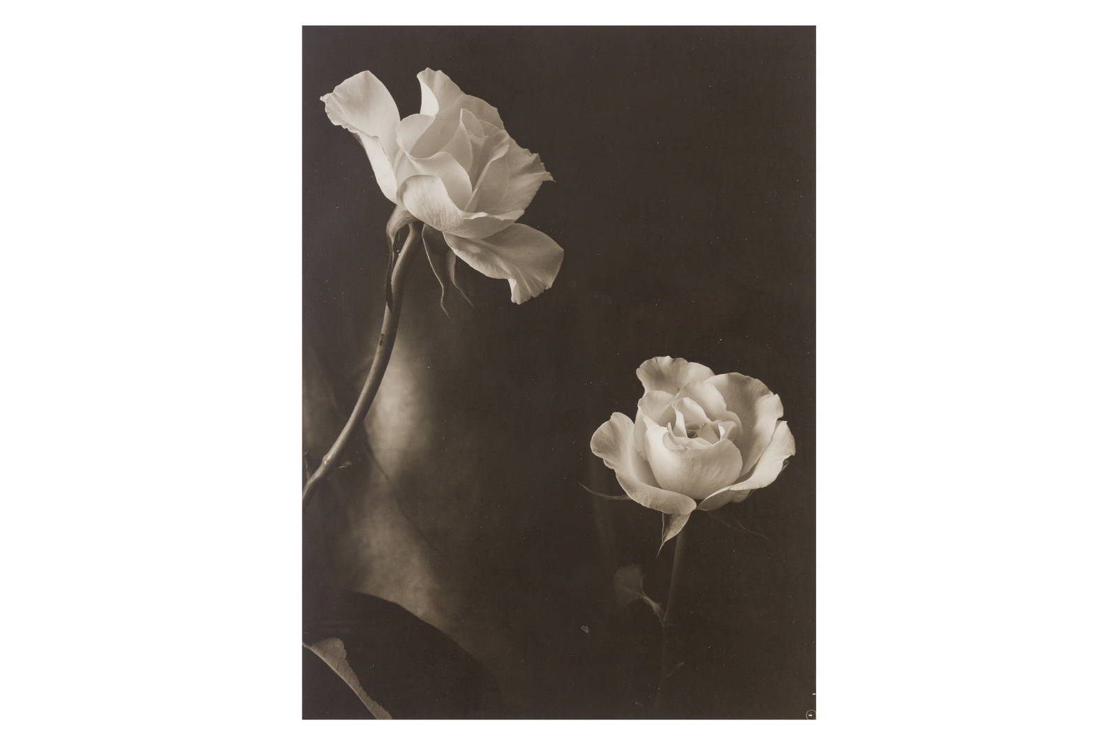 Bruce Rae (b.1946) Auction