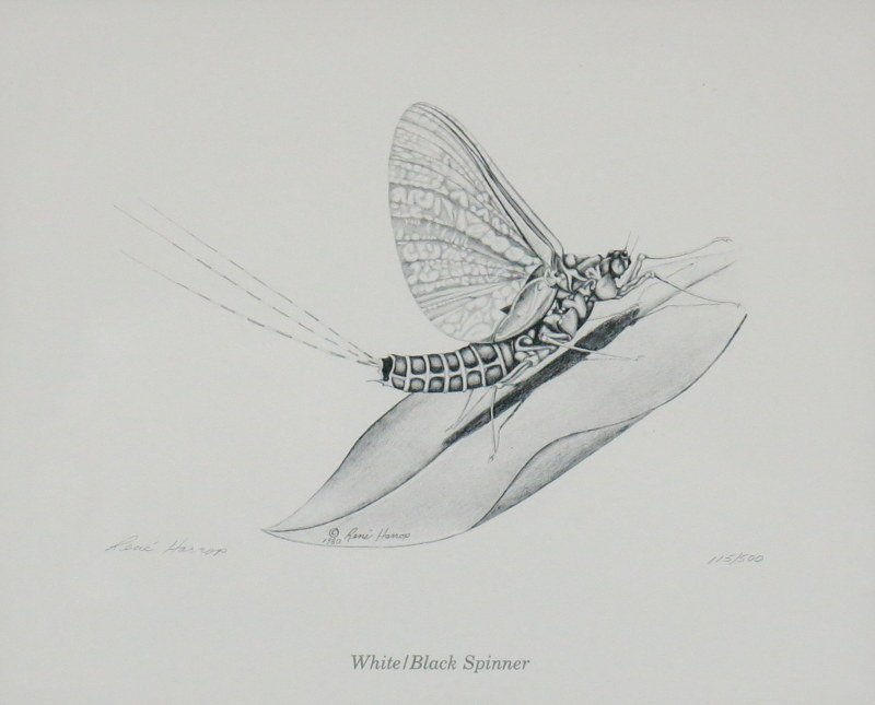 Two Rene' Harrop Prints