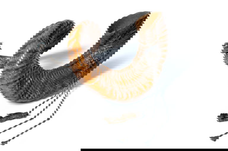 Victorian Horn Complete With Kit Consisting Of Three Coeval Silver ...