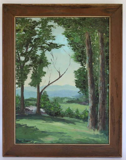 Landscape On Canvas Signed Mike Zande