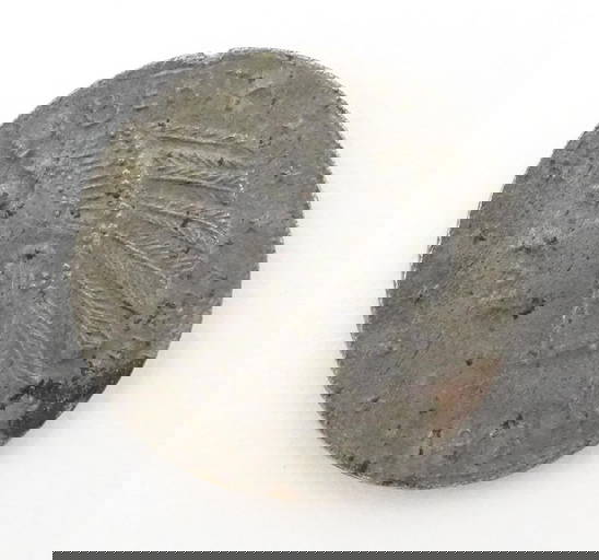 Coin / Token: A United States Of America 1913 Coin / Token With Native ...