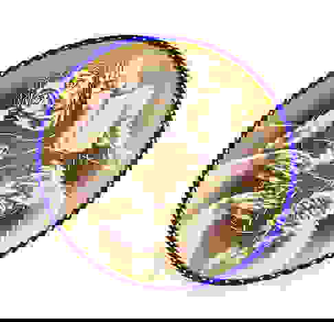 Steven Newell (b. 1948) : A Large American Art Glass Dish / Figural ...