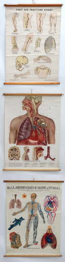 Medical Charts For Adam, Rouilly & Co. 'fractures' And