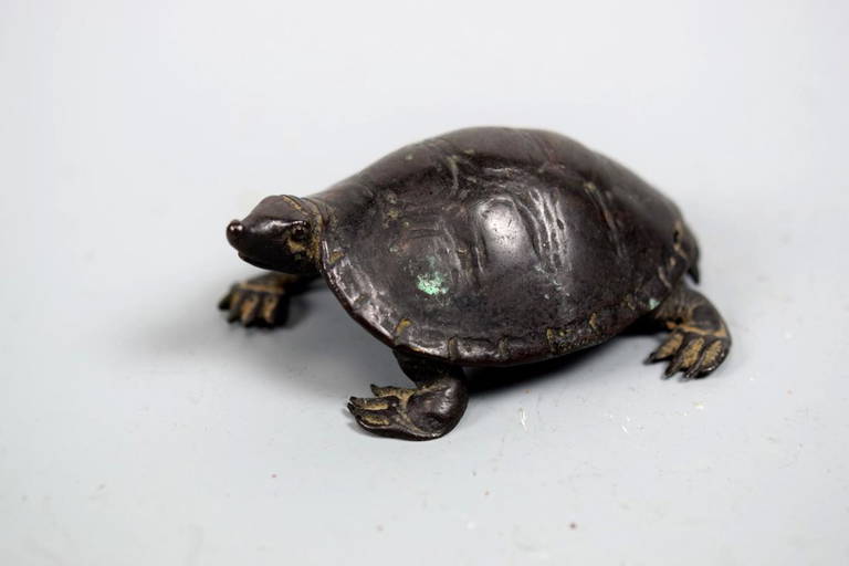 Chinese Bronze Snapping Turtle - Jul 15, 2017 | Stallion Hill Gallery in CT